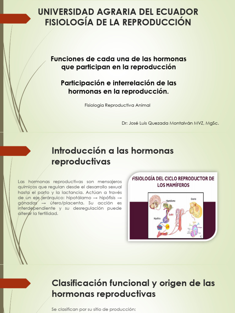Funcion de Las Hormonas Reproductivas....... | PDF | Hormona ...