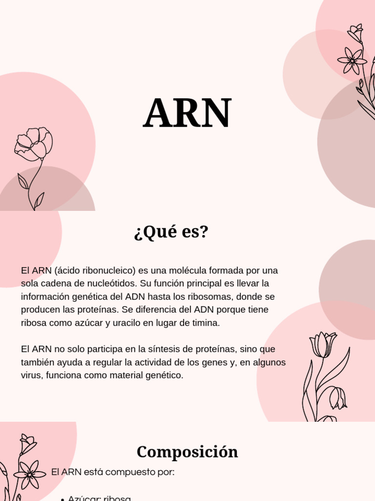 Arn 20250616 122351 0000 | PDF | Rna | Adn