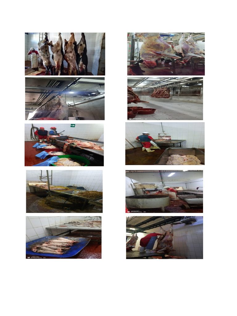 Matadero Replica | PDF