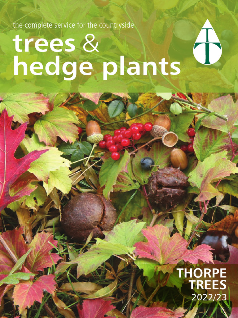 Thorpe Trees Catalogue | PDF | Beech | Plants