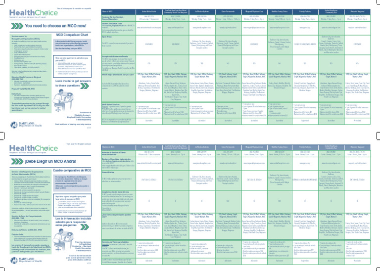 Mco Chart May 2024 | PDF | Glasses | Walmart