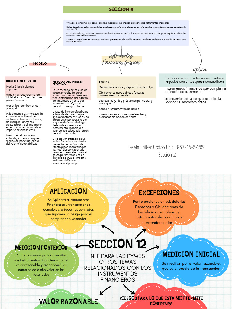 Mapa Conceptual Secciones 11 12 18 22 Niif Pymes | PDF | Activo ...