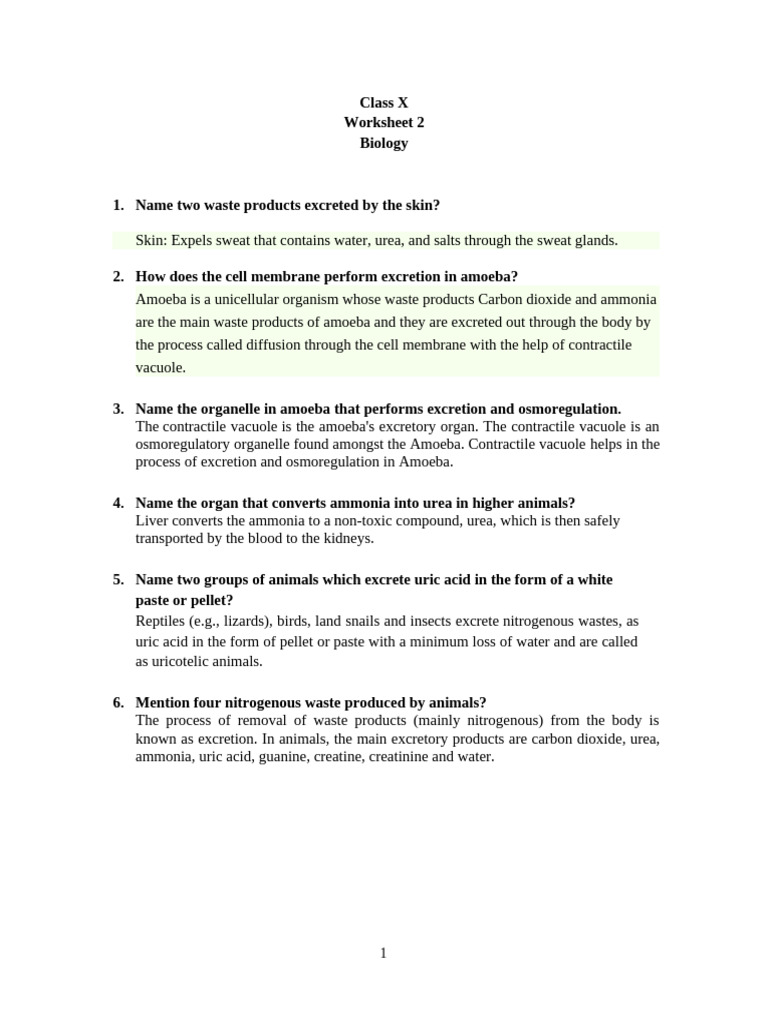 Solved Class X Biology Worksheet | PDF | Kidney | Excretion