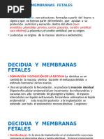 Decidua y Membranas Fetales | PDF | Placenta | Feto