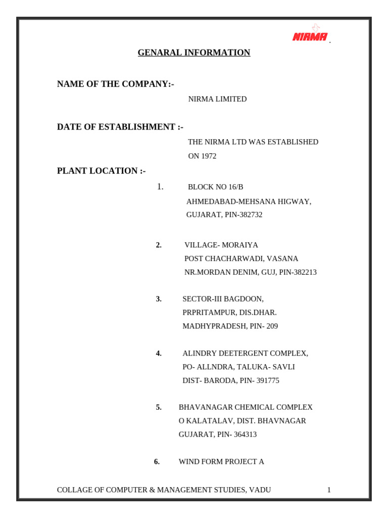 Nirma Limited: A Detergent Industry Leader | PDF | Employment | Market ...