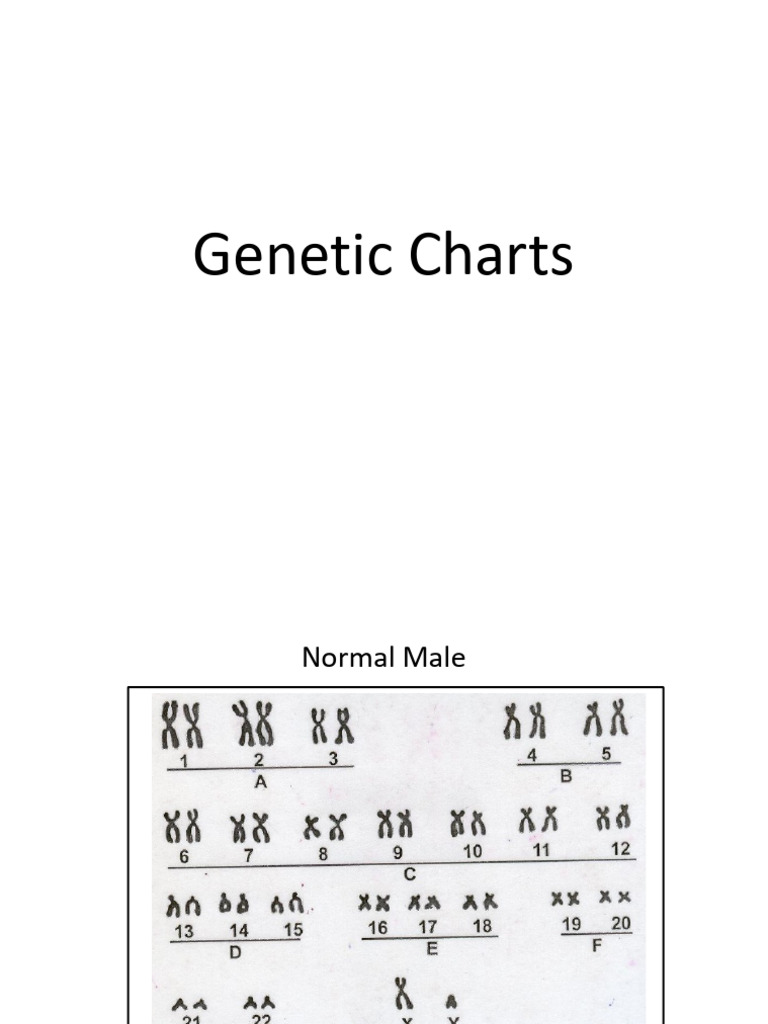 Genetic Charts SGMC 2021-22 Batch | PDF | Cell Biology | Biology