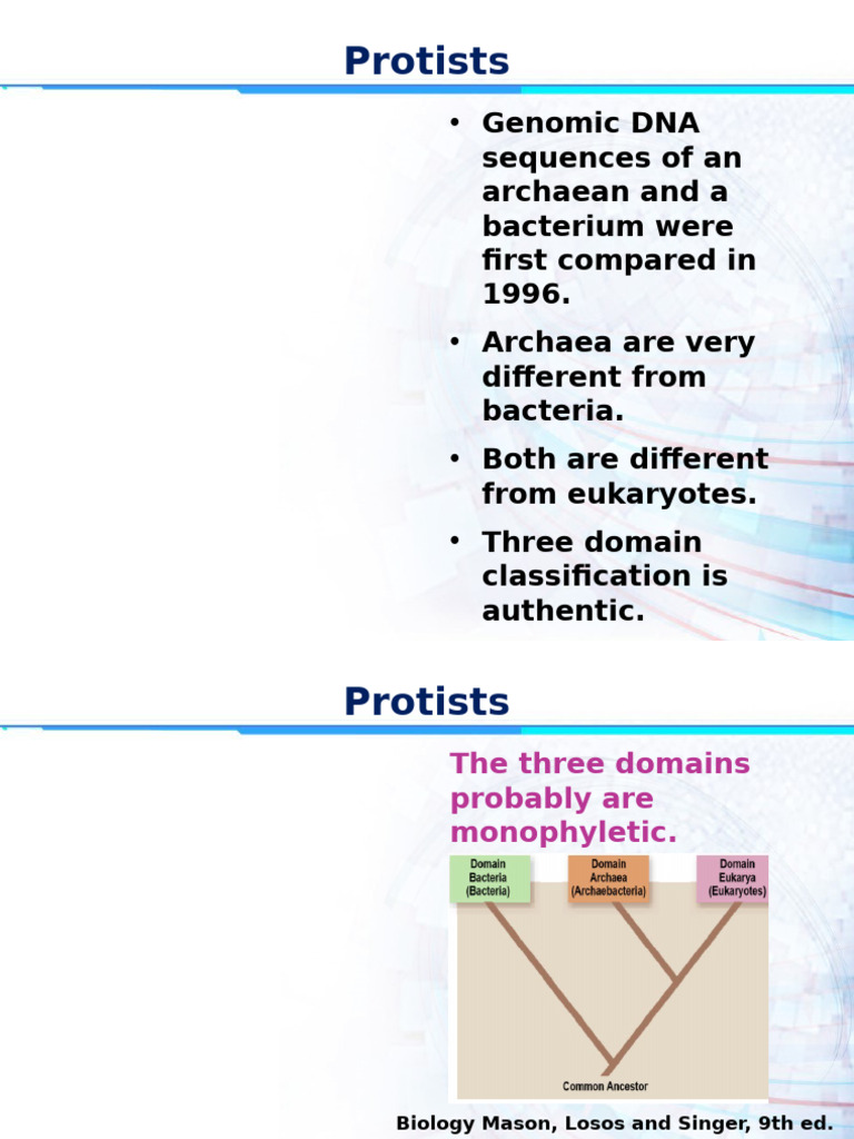 Lecture 127 - Protists | PDF
