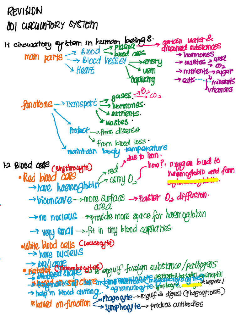 Term 2 Revision | PDF