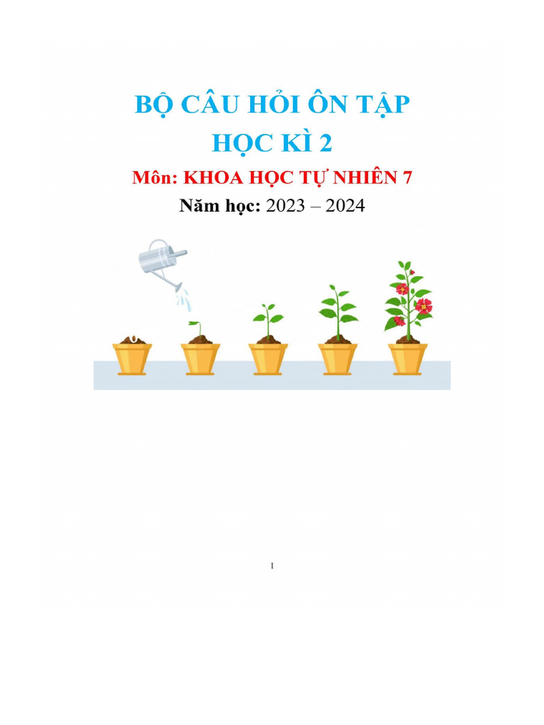 De Cuong On Tap HK2 Co Dap An | PDF