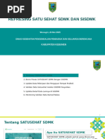 Panduan SATU SEHAT SDMK Dan SISDMK Untuk Kelengkapan Data MPP Digital | PDF