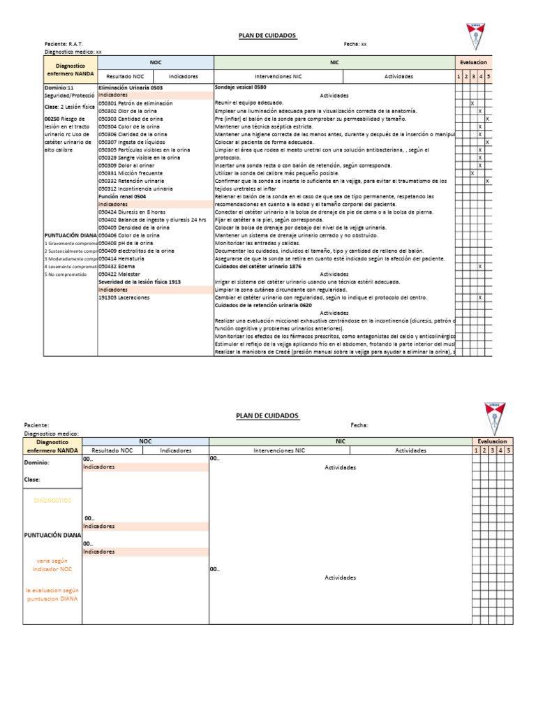 Nanda Formato Ejem | PDF | Urología | Especialidades Medicas