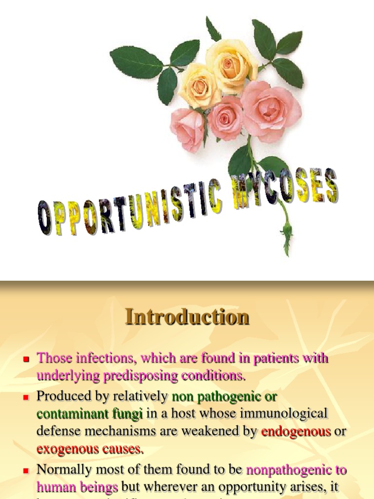 Opportunistic Mycoses | Aspergillus | Diseases And Disorders