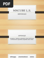 IsiZulu FAL - MTG - Poems Study Guide | PDF | Educational Assessment ...