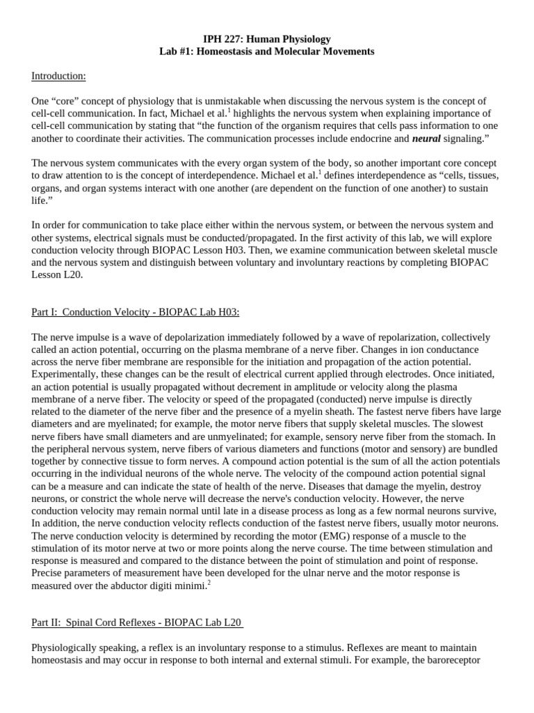 Nervous System Lab Packet | PDF | Neuroscience | Nervous System