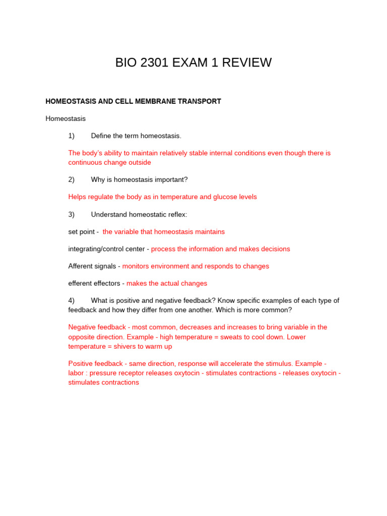 Bio 2301 Exam 1 Review | PDF | Action Potential | Chemical Synapse
