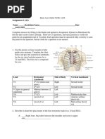 Assessing and Documenting Pulse Types | PDF | Pulse | National Council ...
