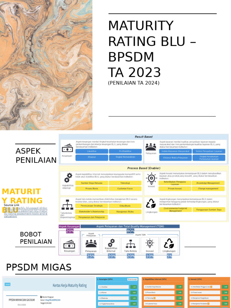 Maturity Rating BLU BPSDM 2023 (Penilaian 2024) | PDF