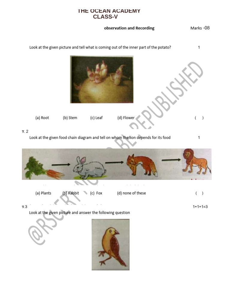 5th Environment Studies Cceguru | PDF