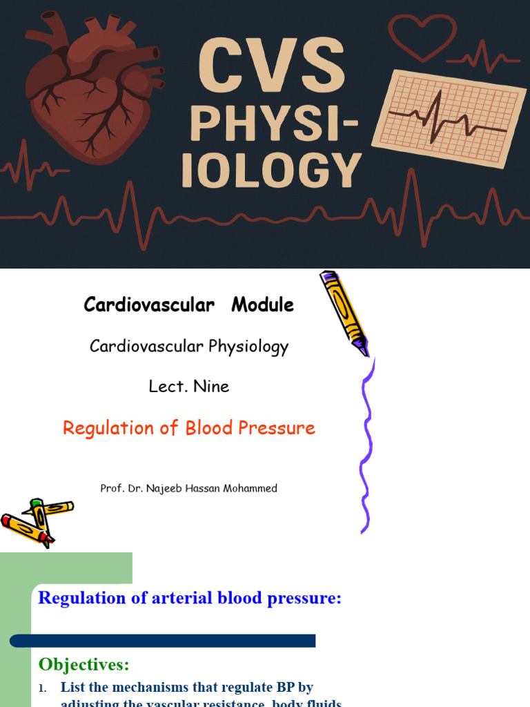 CVS Physiology 9 | PDF