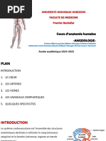 Vascularisation Du Coeur | PDF | Aorte | Organe