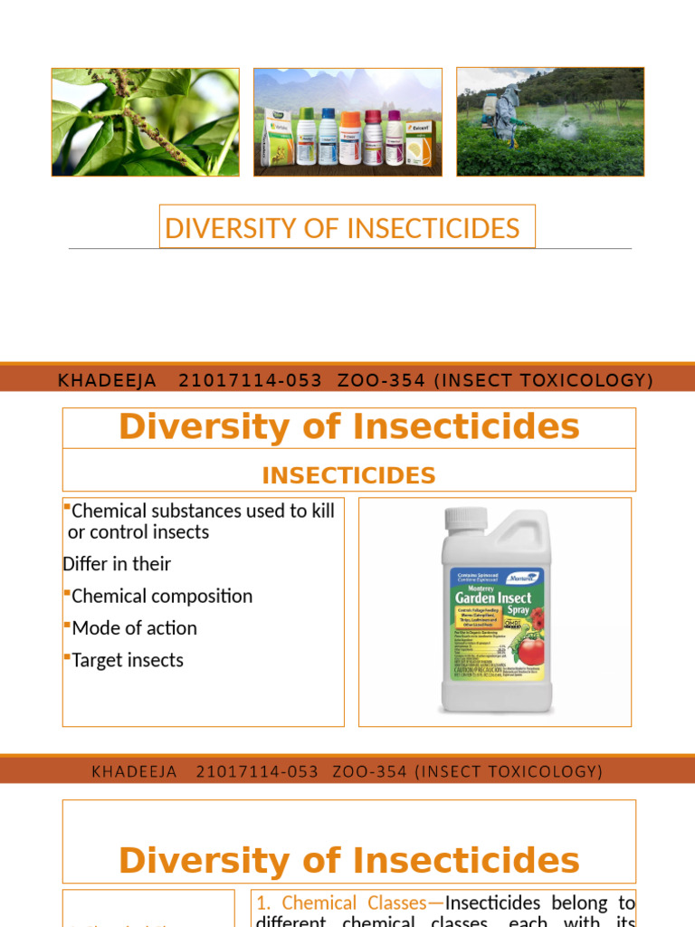 Insecticide Diversity and Types Explained | PDF | Insecticide | Organisms
