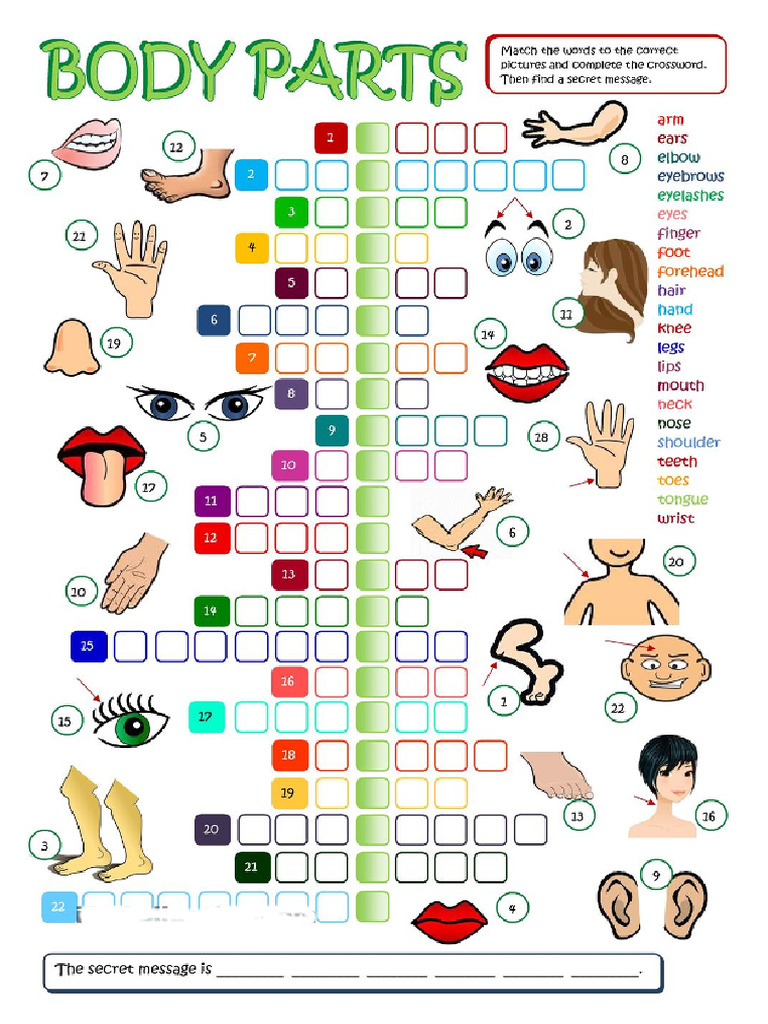 Body Parts Worksheet | PDF