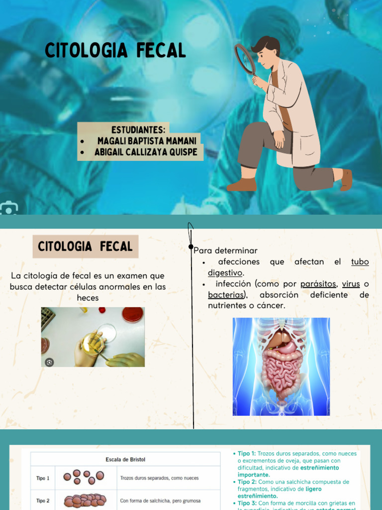 Copia de CITOLOGIA MOCO FECAL | PDF | Heces | Especialidades Medicas