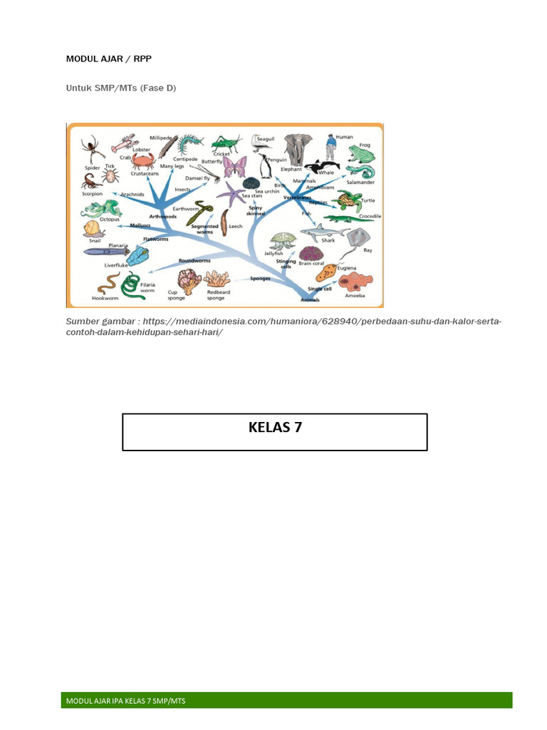 Modul Ajar Ipa Kelas 7 - Riska Novitasari | PDF