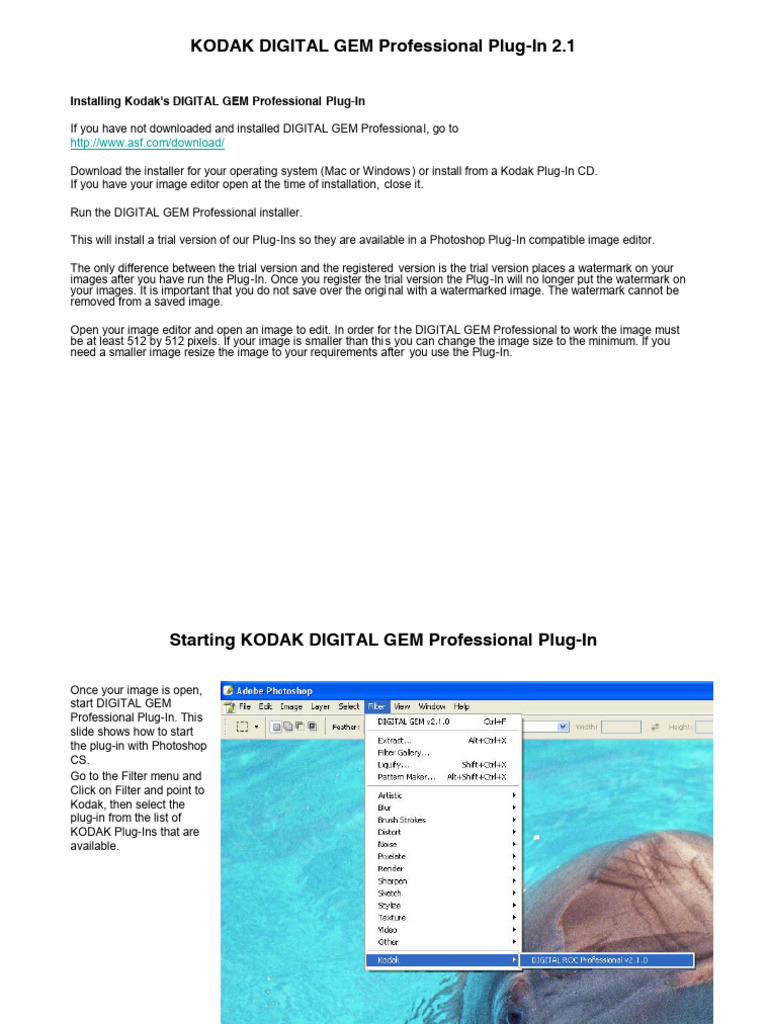 Install KODAK DIGITAL GEM Plug-In Guide | PDF | Button (Computing ...