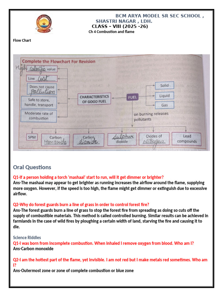 Class 8 Combustion and Flame Overview | PDF | Combustion | Fires