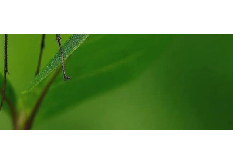 Image To PDF 20250729 10.30.30 | PDF