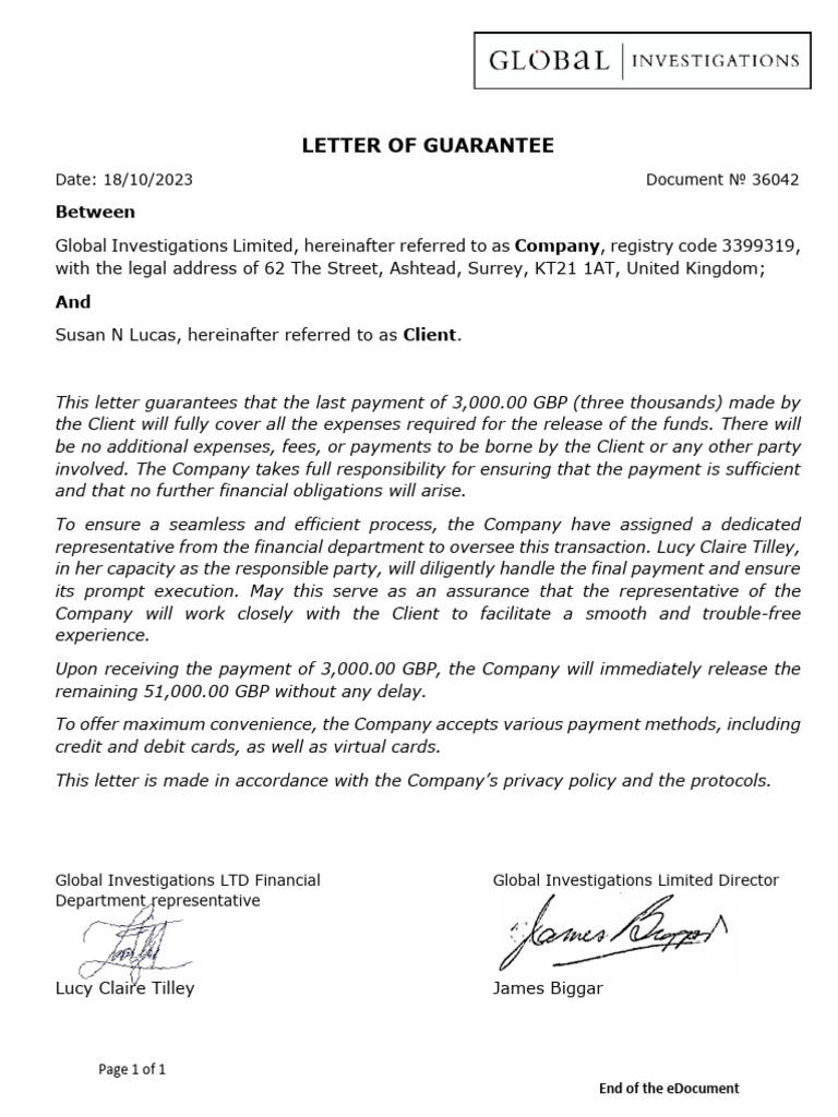 Letter of Guarantee | PDF