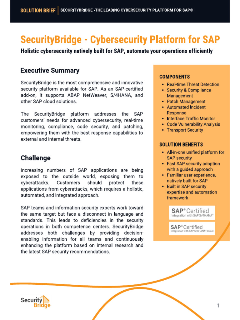 Cybersecurity For Sap - Securitybridge | PDF
