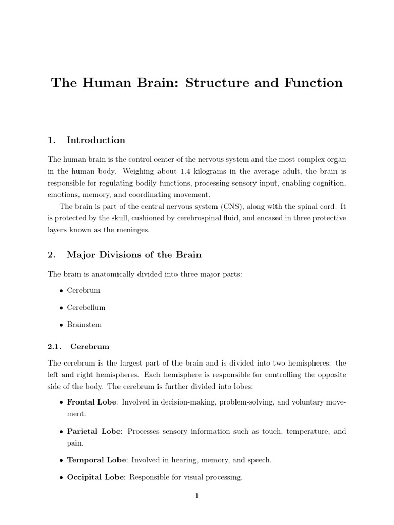Human Anatomy and Physiology | PDF | Brain | Central Nervous System