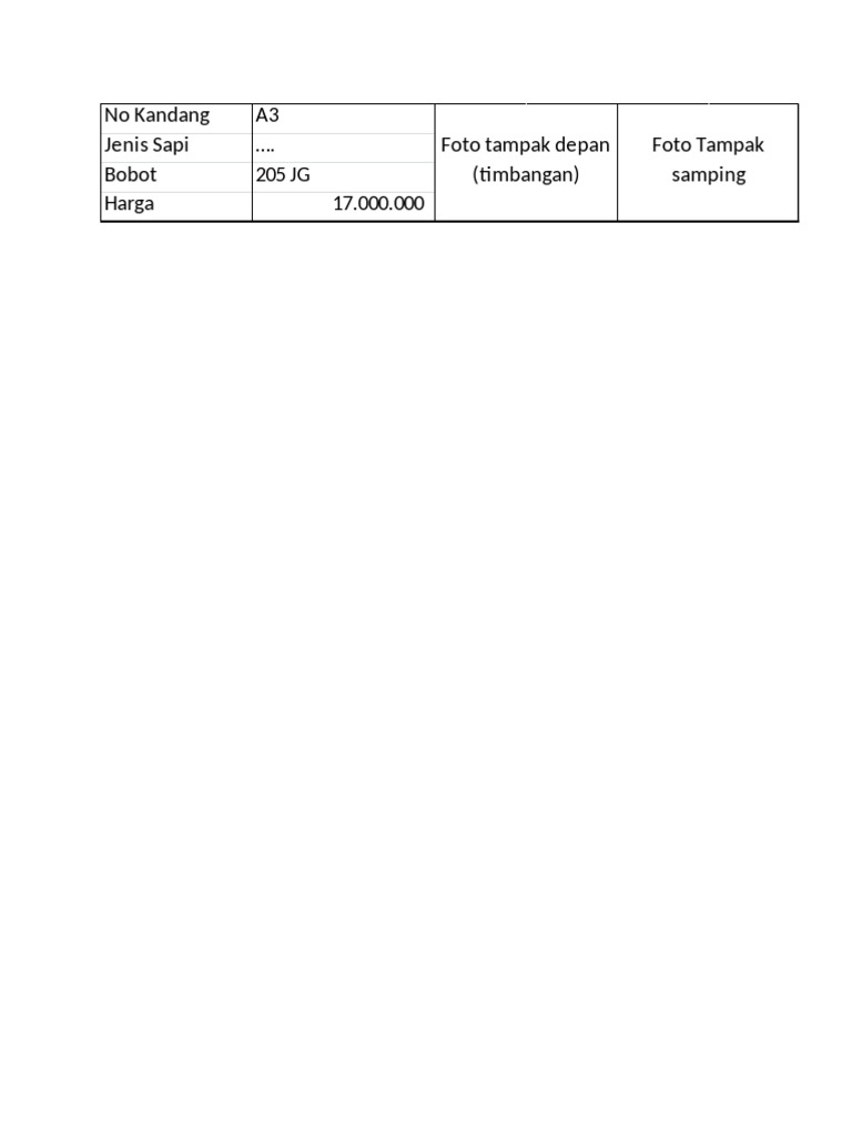 Contoh Format Isian Desain | PDF