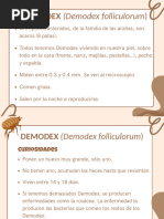 Revisión sobre Demodecidosis y tratamientos | PDF | Inflamación ...