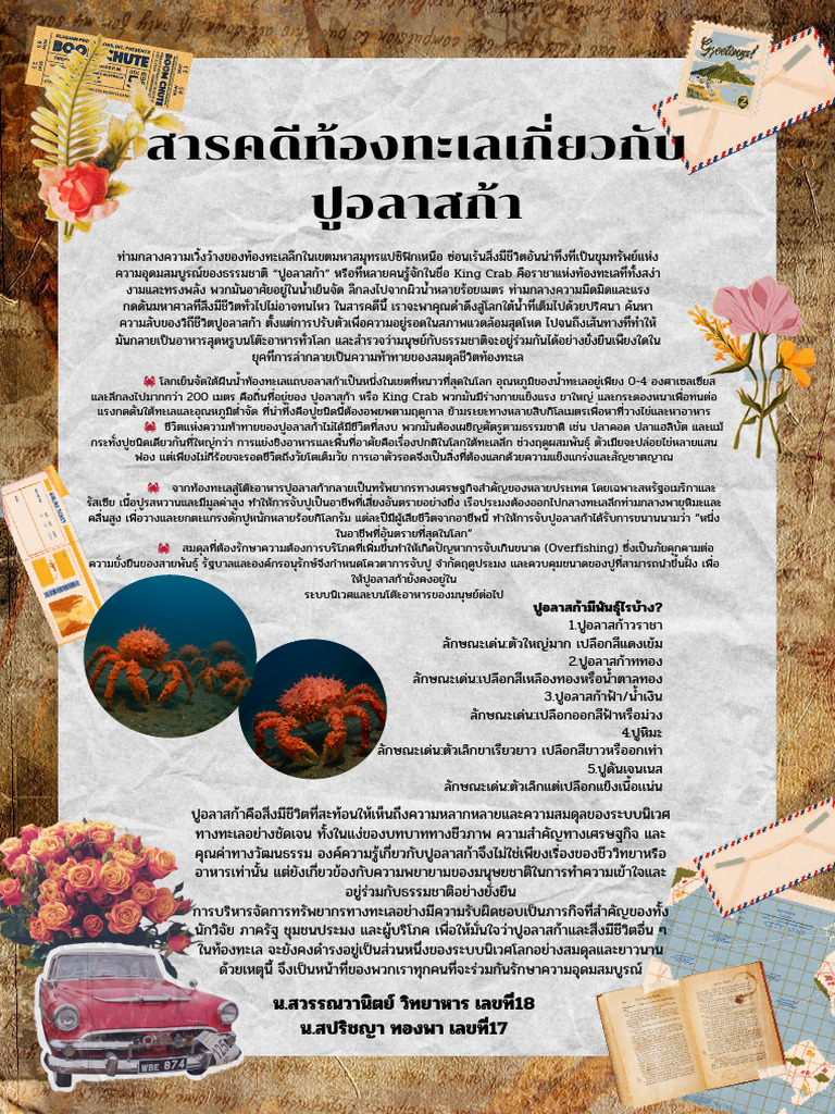 สีน้ำตาล สีดำ สีครีม สีขาว ย้อนยุค วินเทจ ปกรายงาน ปกเอ4 - 20250717 ...