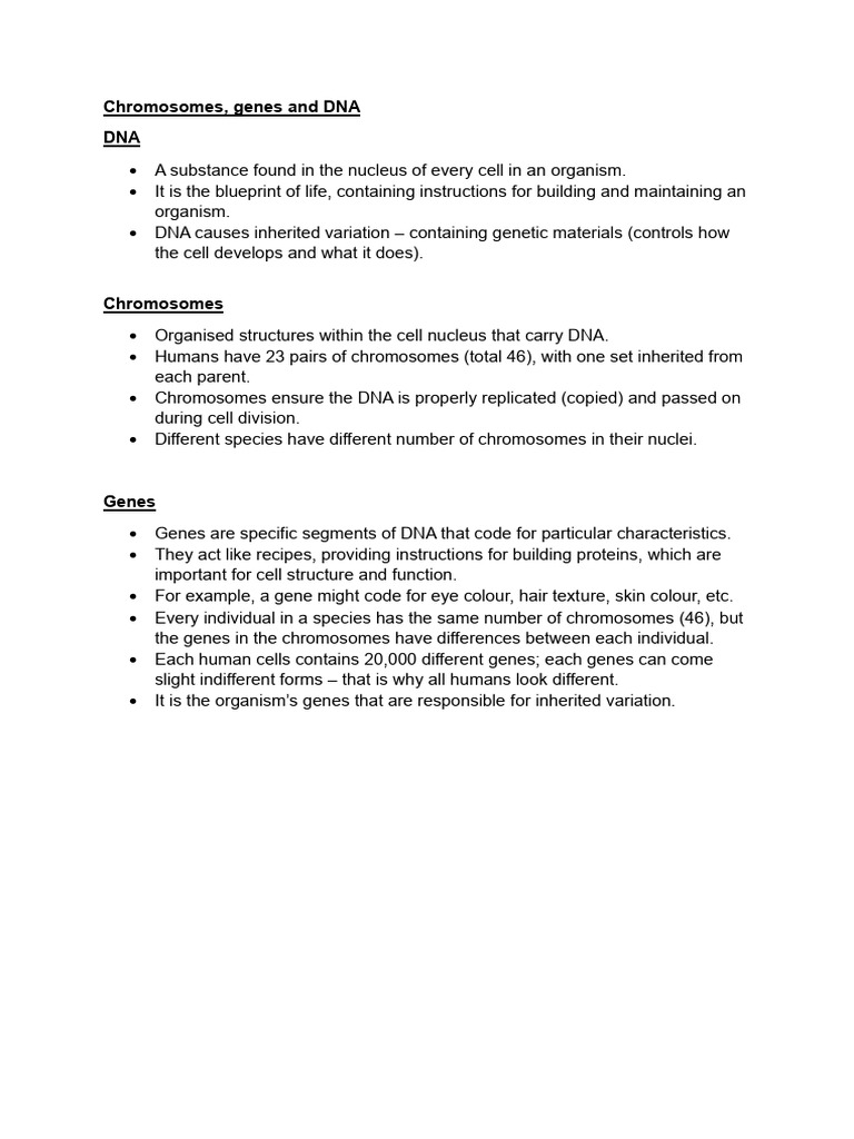 Chromosomes, Genes and DNA (Notes) | PDF