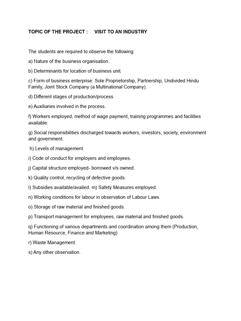 Class 11 Business Studies Project Guide | PDF | Business | Economies