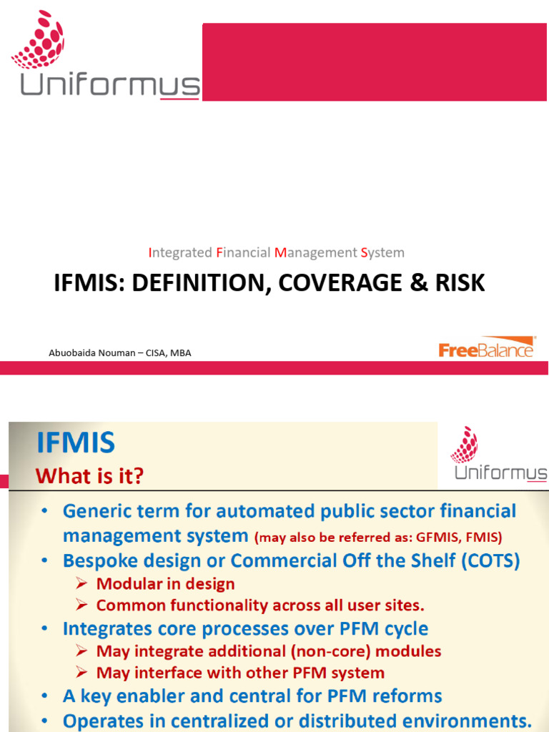 IFMIS - Managing The Risks | PDF
