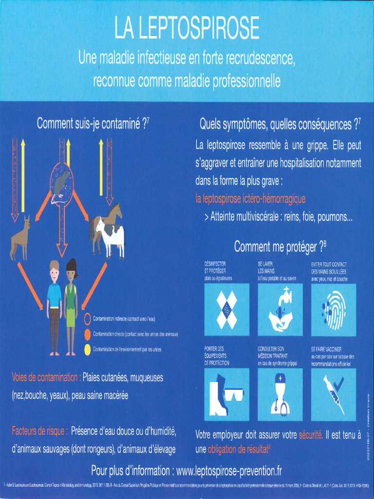 La Leptospirose | PDF