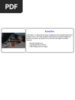 Grade 10 English Essay Examples | PDF | Essays | Thesis