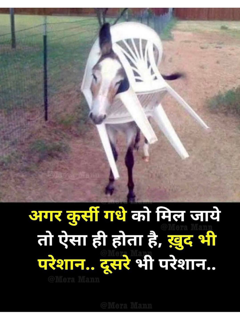 Image To PDF 20250729 16.19.31 | PDF