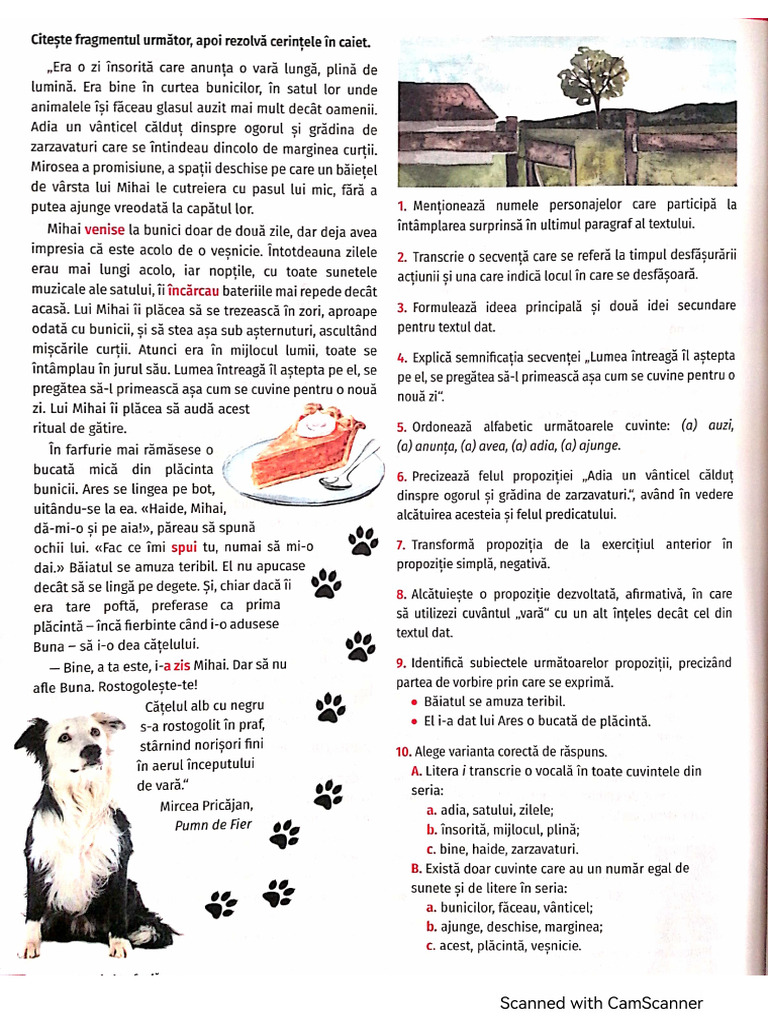 Recapitulare Clasa A VI-A | PDF