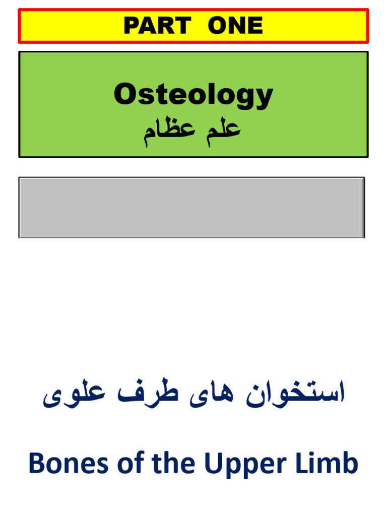 Osteology استخوان شناسی | PDF