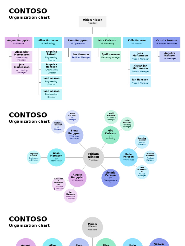 Contoso Organization Chart Overview | PDF