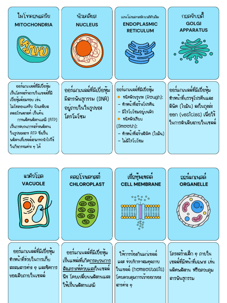 PDF - Biology Cell Organelles Science Flash Cards | PDF