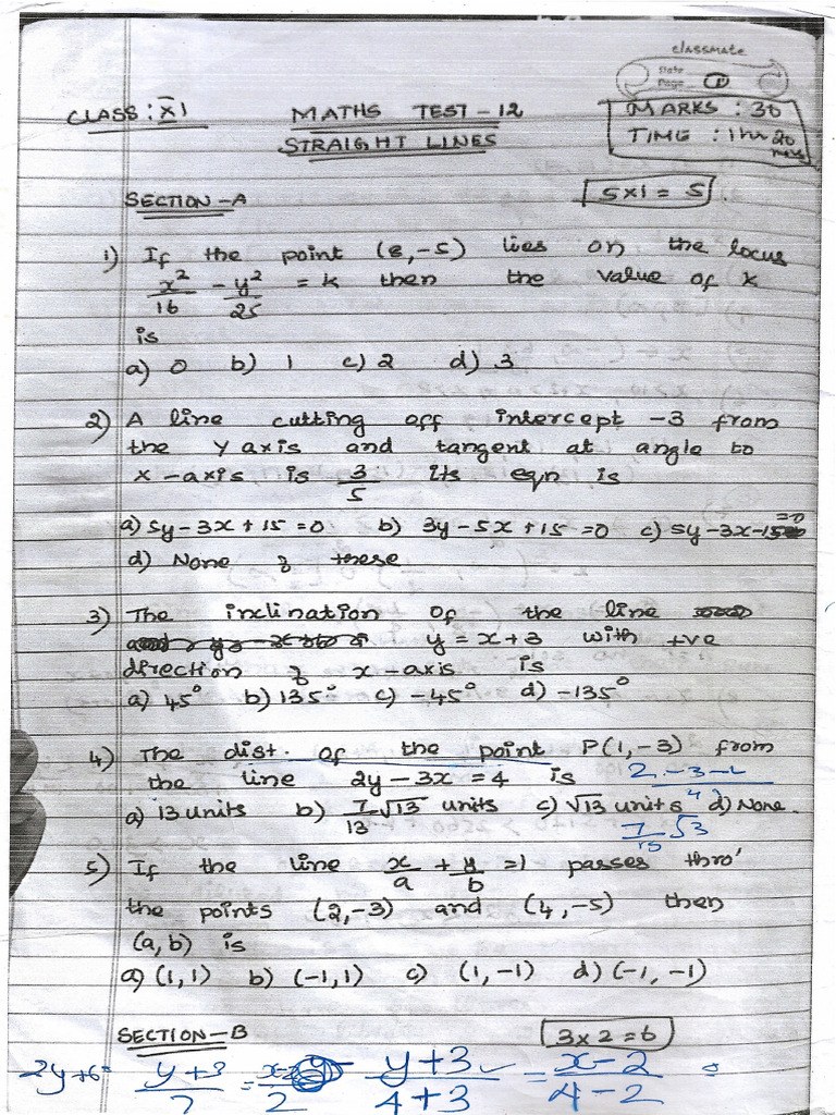 Worksheet 1 - Straight Lines | PDF