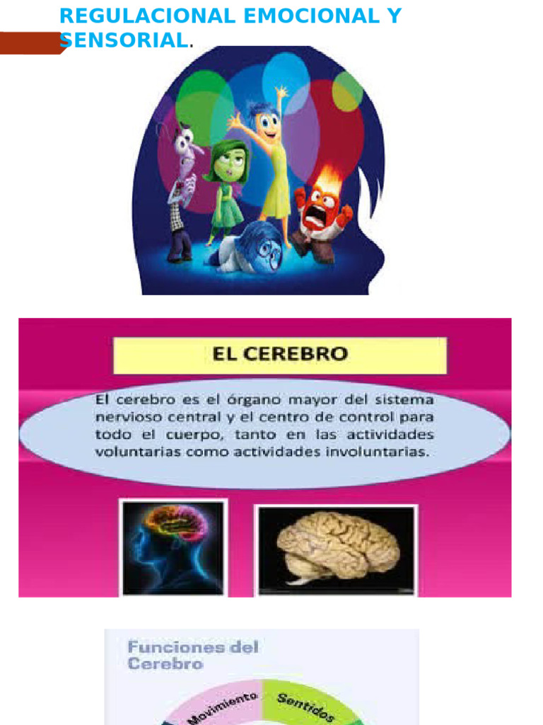 Integracion Sensorial y Emocional 2 | PDF | Las emociones | Sentidos