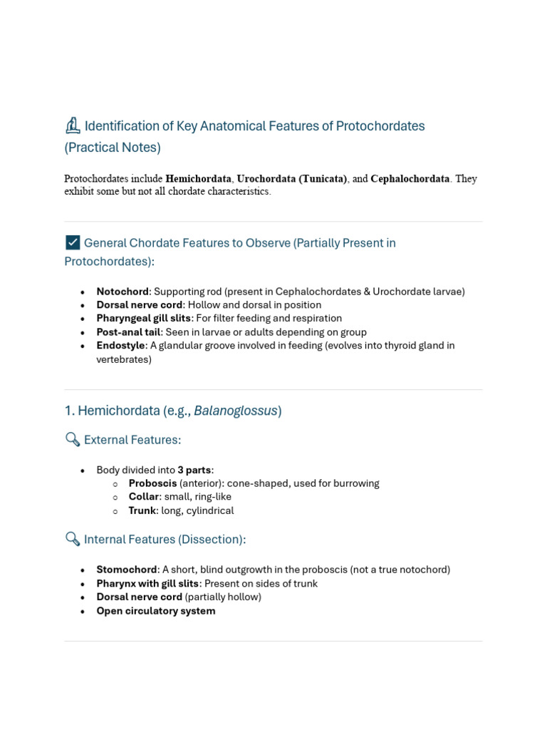 Identification of Key Anatomical Features of Protochordates (Practical ...